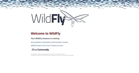 How To Install Wildfly With Nginx As A Reverse Proxy On Debian 10