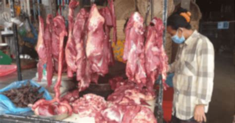 កម្ពុជា ឡាវ ហាមប្រាមជាបណ្ដោះអាសន្នពីការនាំចូលសត្វពាហនៈពីប្រទេសថៃ