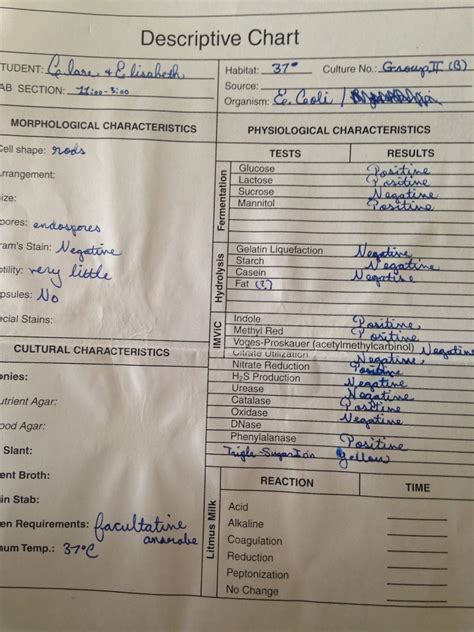 Microbiology Mania Discovered The Great Unknown Lab May