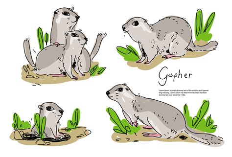 Cute Gopher Pose Hand Drawn Vector Illustration 167328 Vector Art At
