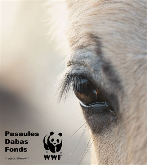 4 Simple Concepts Of Prehistoric Architecture