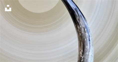 원형 조명기구 앞의 긴 뿔 조각 사진 Unsplash의 무료 산 페드로 가르사 가르시아 이미지