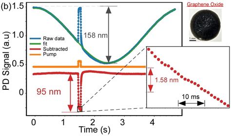 Time Resolved Laser Induced Deformation Of Rough Samples B Download Scientific Diagram