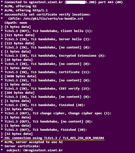 실제 서버의 로그 상태를 봐도 Tls 13 을 사용한것을 확인 할 수 있다