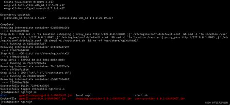 基于docker容器的web应用系统部署 csdn博客