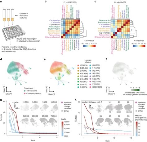 M3 Seq：大规模研究单细菌转录组测序的新技术 知乎
