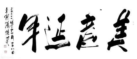 傅继英成语书法作品美意延年 哔哩哔哩