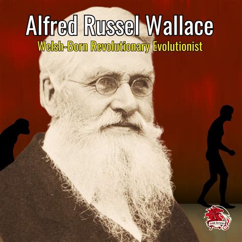Welsh Did You Know About The 19th Century Welsh Born Scientist