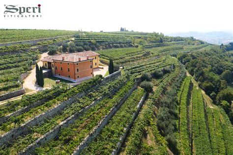 Speri Scheda Azienda Cantina Travel Food Verona
