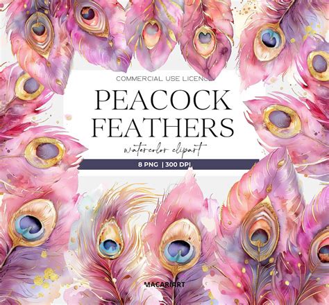 Pink Peacock Feather Clipart Watercolor Feathers Boho Peacock Art