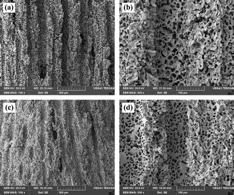 Sem Micrographs Of The Porous Cu Ni Alloy Sintered In Hydrogen