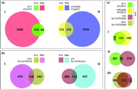 Venn Diagrams Showing Overlaps Between Genes Upregulated In Rna Seq And Download Scientific