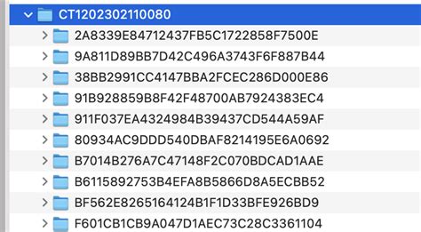 数据预处理 sort乱序dicom文件 dicom sort软件安装 csdn博客