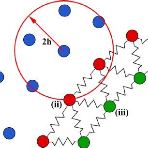Spring Connection Types I Is A Structural Spring Allowing An Download Scientific Diagram