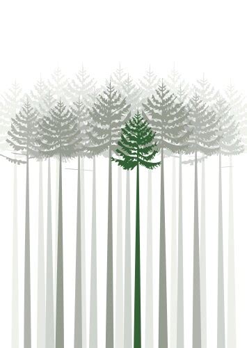 Cedar Trees Vector Images Over 8 200