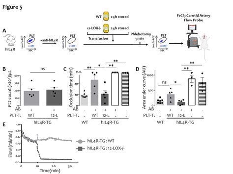 Post Transfusion In Vivo Function Of Wt And 12 Lox Platelets In Download Scientific Diagram