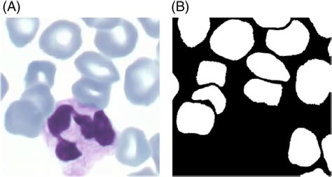 A The Image Input And B Its Corresponding Label Target Download Scientific Diagram