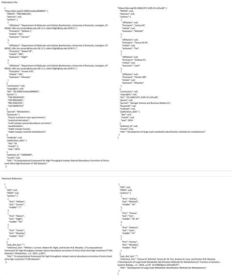 Publication Json And Tokenized Reference Contents For The Download