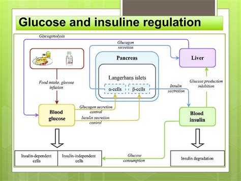 Diabetes Mellitus Pptx