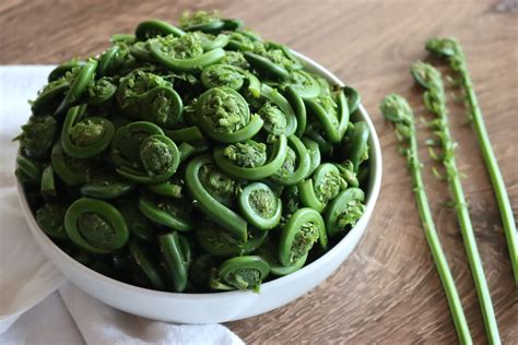 50 Fiddlehead Recipes Wild Foraged Spring Ferns Adamant Kitchen