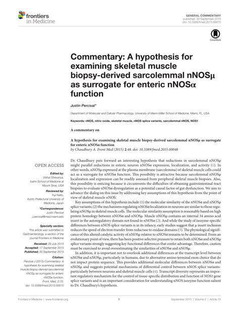 Pdf Important Differences Between Nnos Splice Variants In Enteric