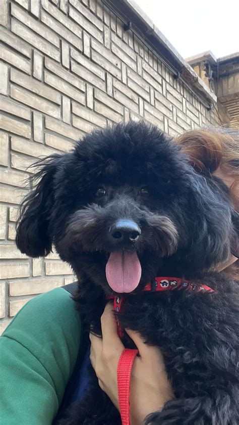 Loobia🫛 Loobia N Mommy • Instagram Photos And Videos