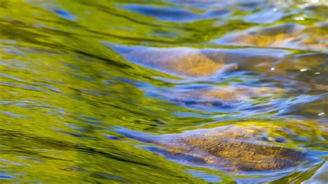 Критично ниво на водите в язовирите на Истанбул Новини бг