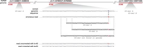 Example Of A Sequencing Error In A Repeat Region That Remains