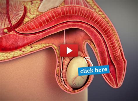 Get Bigger And Longer Without Surgery The Ultimate Guide To Getting A Bigger Dick In Weeks