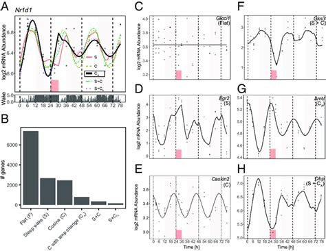 Modeling Temporal Transcriptome Dynamics A Example Of Model Fitting