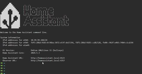 安裝 advanced ssh and web terminal 擴展程式 台灣智能感測科技