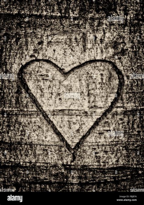 Heart Carved In A Tree Stock Photo Alamy