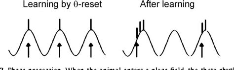 Figure 3 From Functional Role Of Gamma And Theta Oscillations In Episodic Memory Semantic Scholar