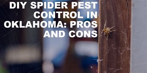 Diy Spider Pest Control In Oklahoma Pros And Cons Heattech Pest Control
