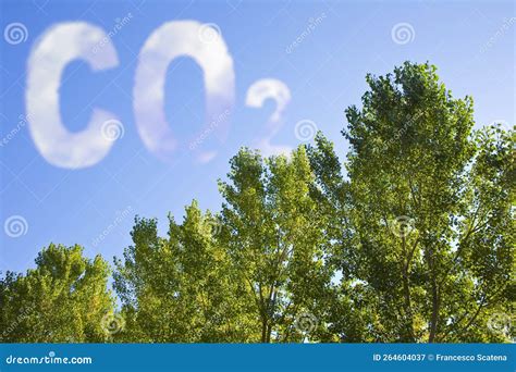 Planting More Trees Reduce The Amount Of Co2 Concept Image With Co2