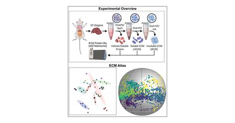 Mass Spectrometry Based Atlas Of Extracellular Matrix Proteins Across