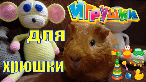 игрушки для морских свинок/игрушки для свинок/игрушки для морских ...