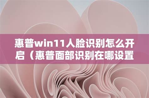 惠普win11人脸识别怎么开启（惠普面部识别在哪设置） 4425教程网