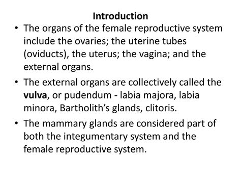 Solution The Anatomy Of The Female Reproductive System Studypool