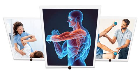 Licenciatura En Terapia Física Uphm Universidad Politécnica Hispano