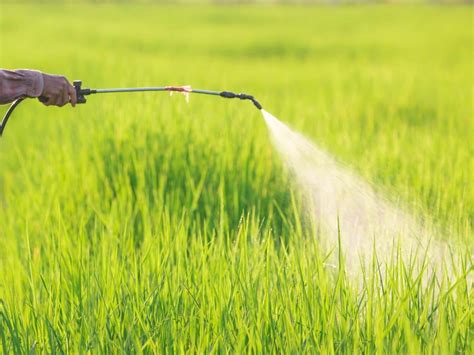 Pesticides Spraying
