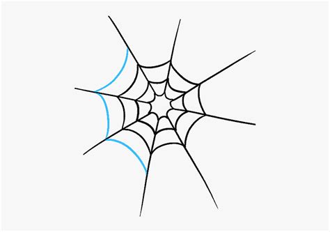 How To Draw How To Draw A Spider Web With Spider In Draw A Spider Web Easy HD Png Download