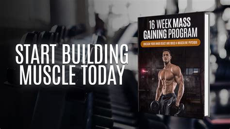 16 Week Mass Gaining Program