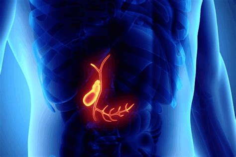 Inguinal Hernia Urinary Symptoms A Shocking Link Liv Hospital