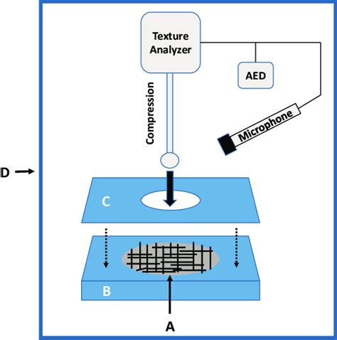 Texture Analyzer Combined With Aed The Diagram Highlights A Single Download Scientific Diagram