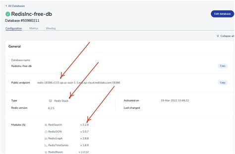Graph Database Using Redis Stack