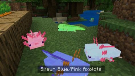 Download Axolotl Mod For Minecraft Pe Useful Helpers