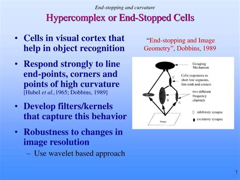 Ppt Robust Perceptual Image Hashing Using Feature Points Powerpoint