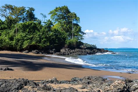 13 Best Things To Do In Drake Bay Activities And Travel Guide Bey Of