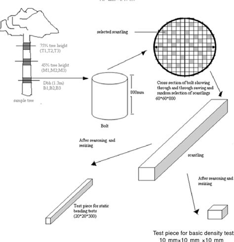 Figure 2 From Basic Density Modulus Of Elasticity And Modulus Of